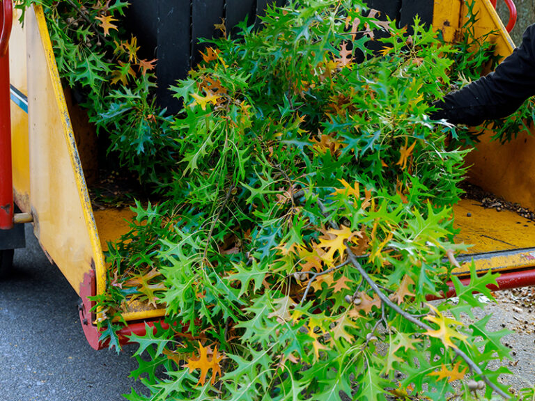 Brush Clearing & Land Clearing | Chester County PA